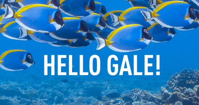 Gale Kids InfoBits Product Enhancements Launching on May 29 | Gale Blog ...