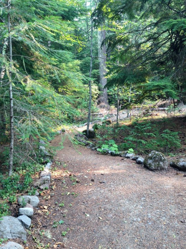 To the Gorgeous Gorge with ChiltonLibrary! | Gale Blog: Library ...