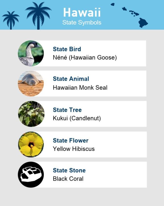 Teaching Students U.S. Culture and History, State by State | Gale Blog ...