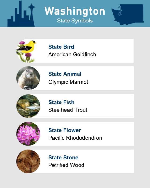 Teaching Students U.S. Culture and History, State by State | Gale Blog ...