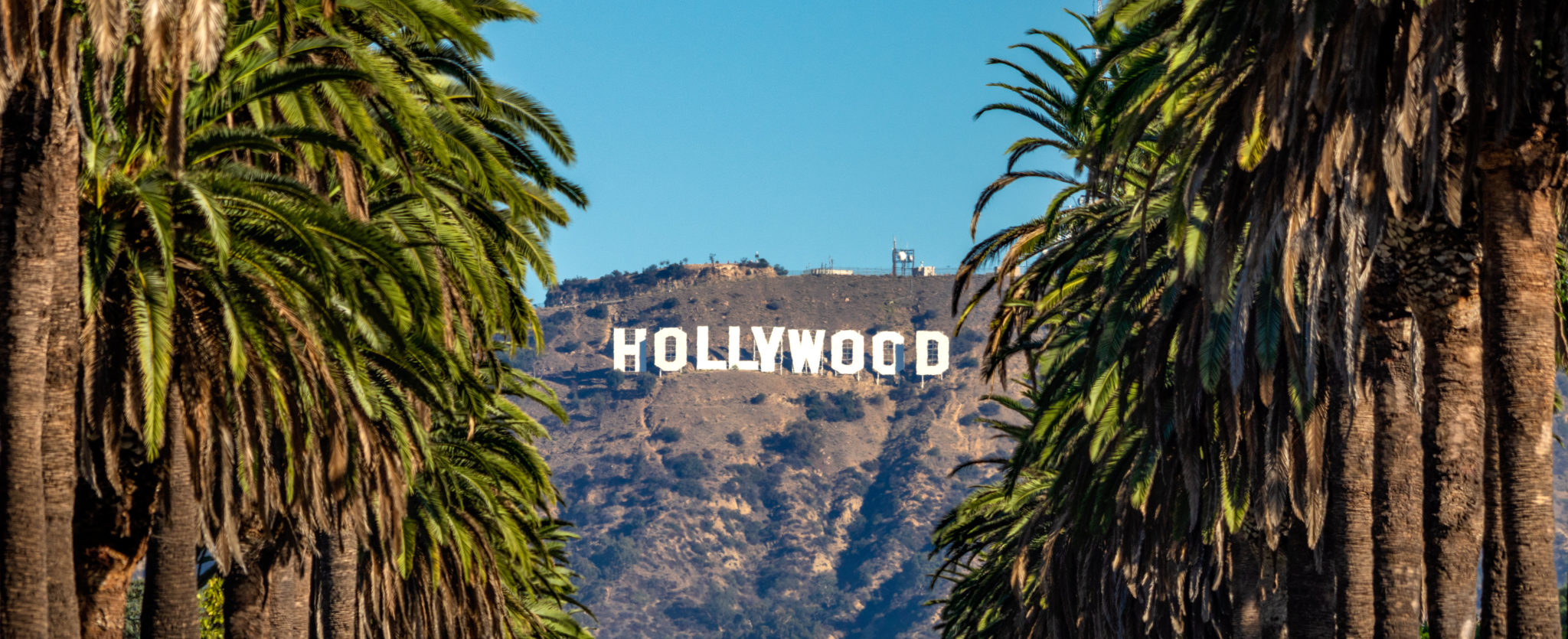 Hollywood Ten Cited for Contempt, November 24, 1947 | Gale Blog ...