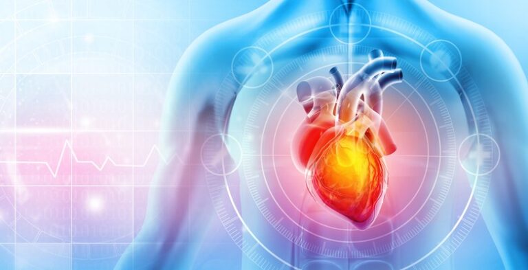 Understanding Cardiovascular Disease: Definition, Prevention, and Treatment