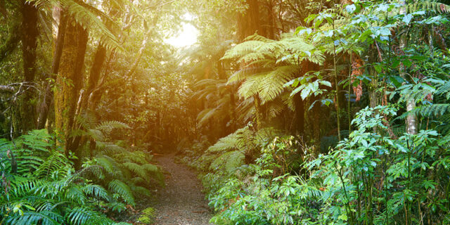 Discover the Magic of Middle-earth on J.R.R. Tolkien’s Birthday